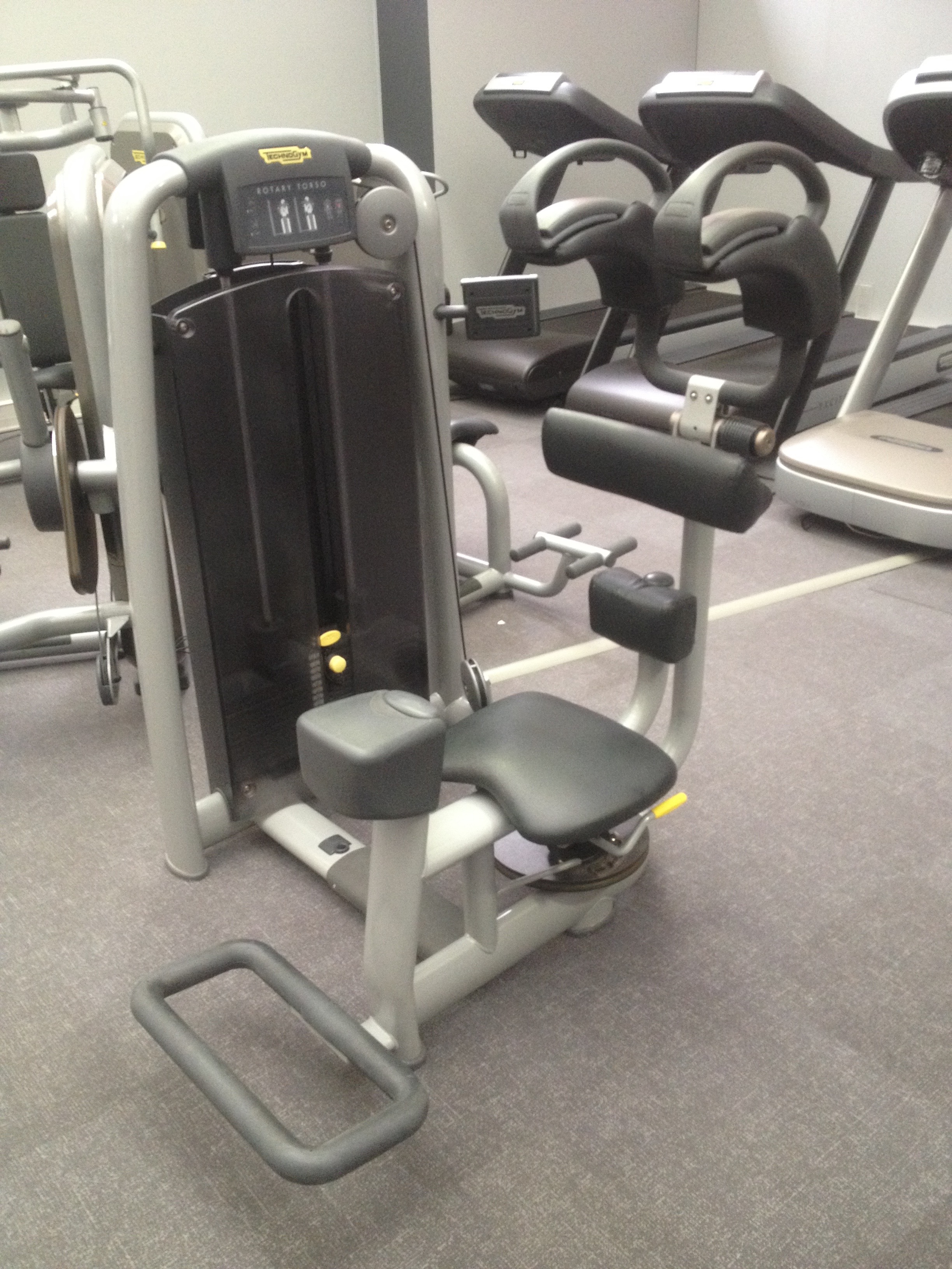 ROTARY TORSO TECHNOGYM SELECTION - Trader Equipement